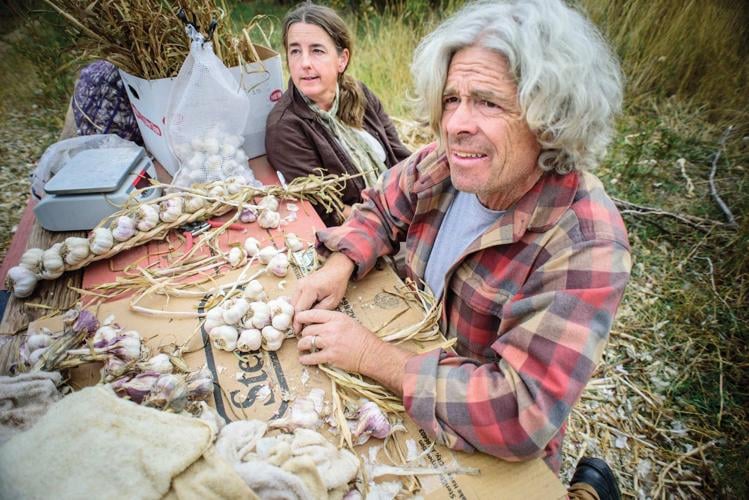 Getting Down to Business with Boxcar Farm | News | taosnews.com