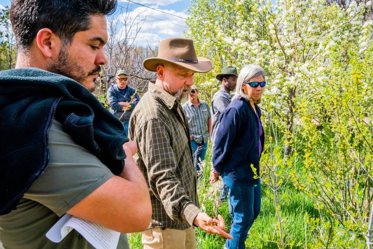 The food forest: A holistic approach to cultivating an integrated ...