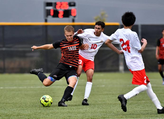 Taos High boys soccer streak extends to 4 with 1-0 victory over Alamosa ...