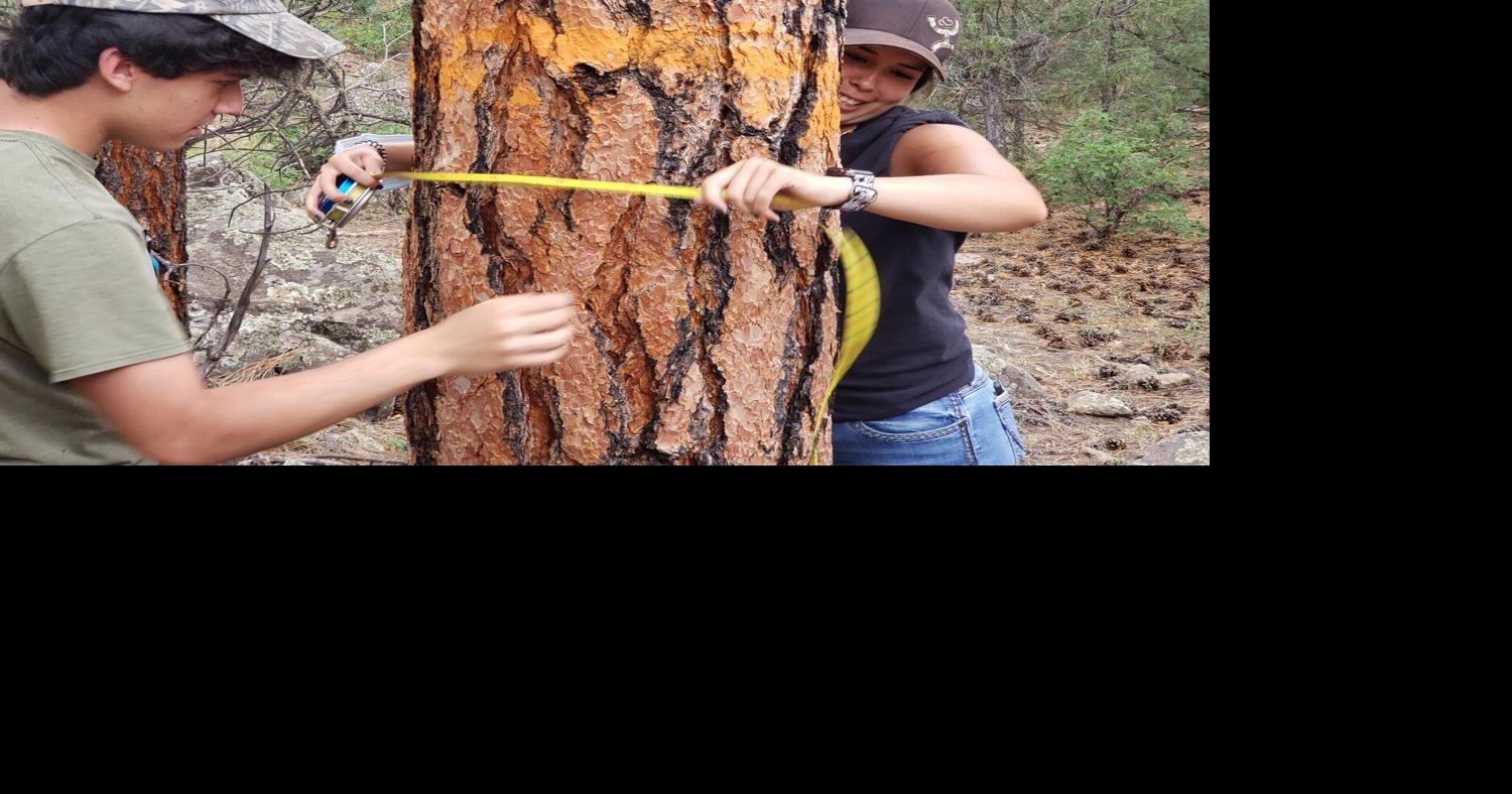 Cultivating the next generation of natural resource professionals ...