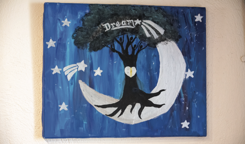 DreamTree Project celebrates 25 years of youth housing | Sponsored ...