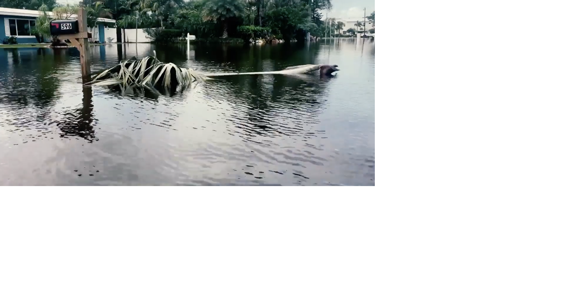 Dunedin officials discuss storm issues, response efforts | North County ...