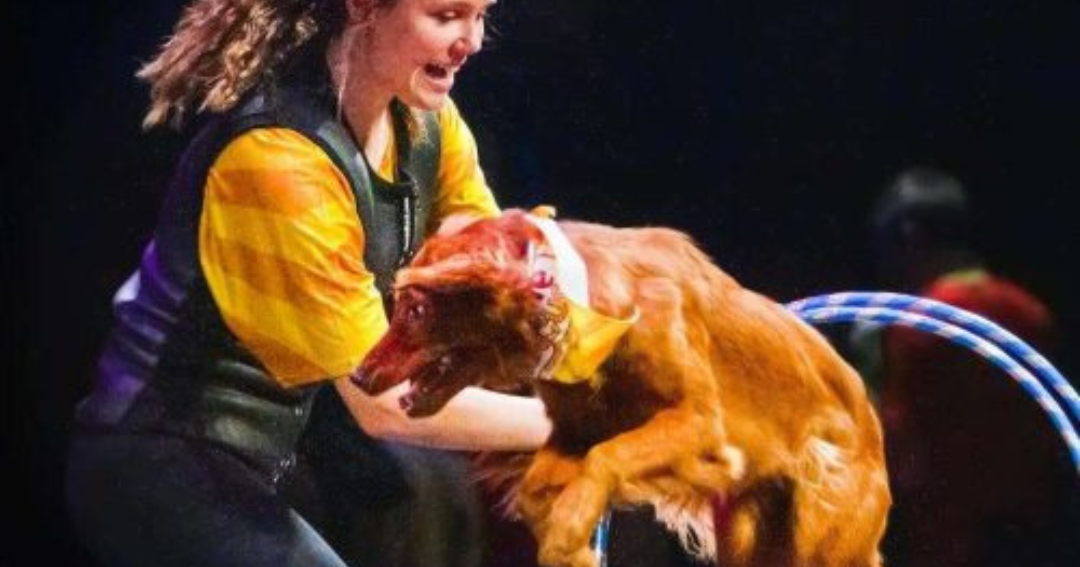 Canine Circus to bring ‘paw-some’ tricks to Largo | Diversions ...