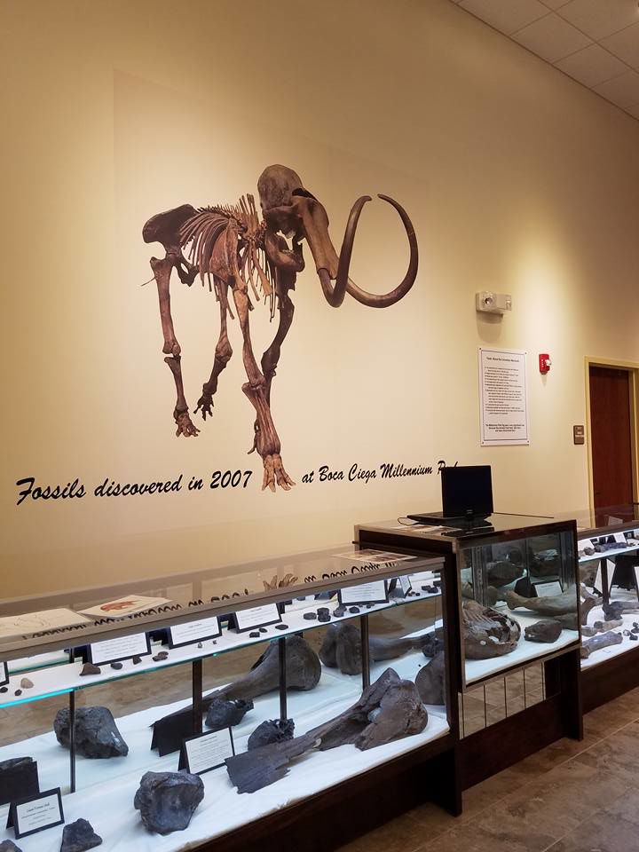 'A jewel for Seminole': Historical society finalizes museum exhibits ...