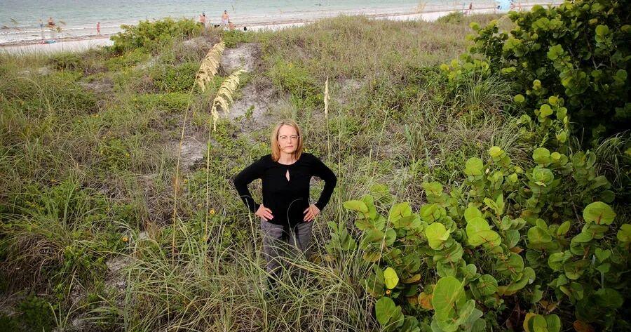 As Pinellas beaches erode, a long-promised fix slips out of reach ...