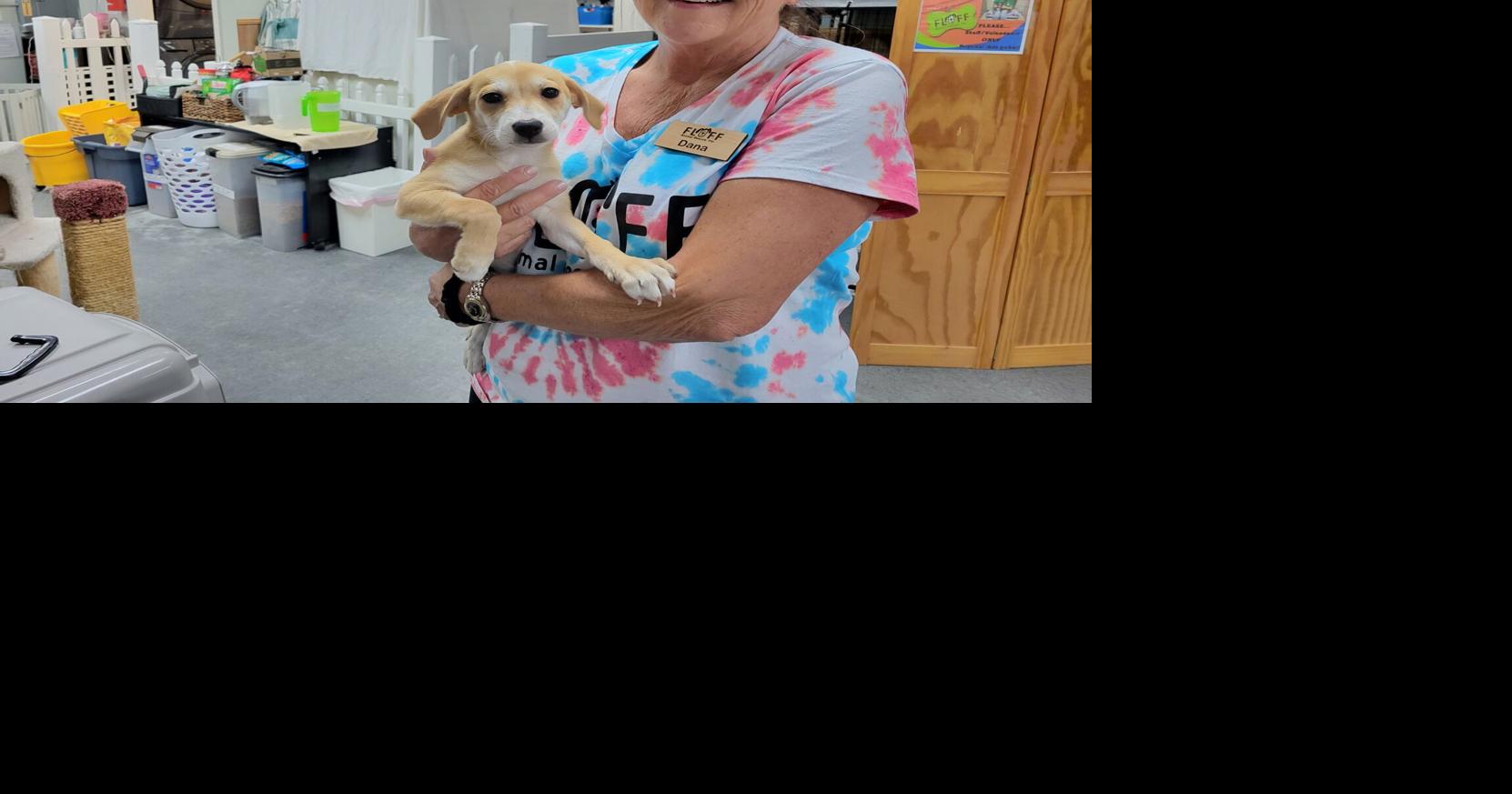 FLUFF Animal Rescue launches campaign to raise funds for new facility ...