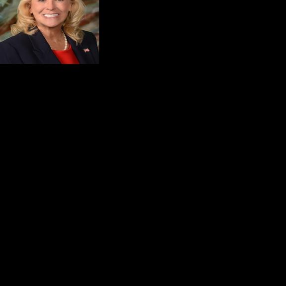 With races uncontested, Burke and Springer to return to City Council ...