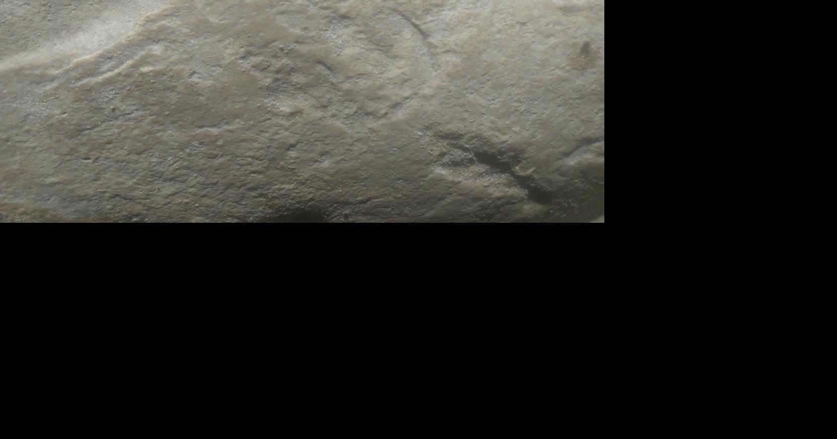 Treasure hunter says Honeymoon Island rock may point to Palm Harbor ...