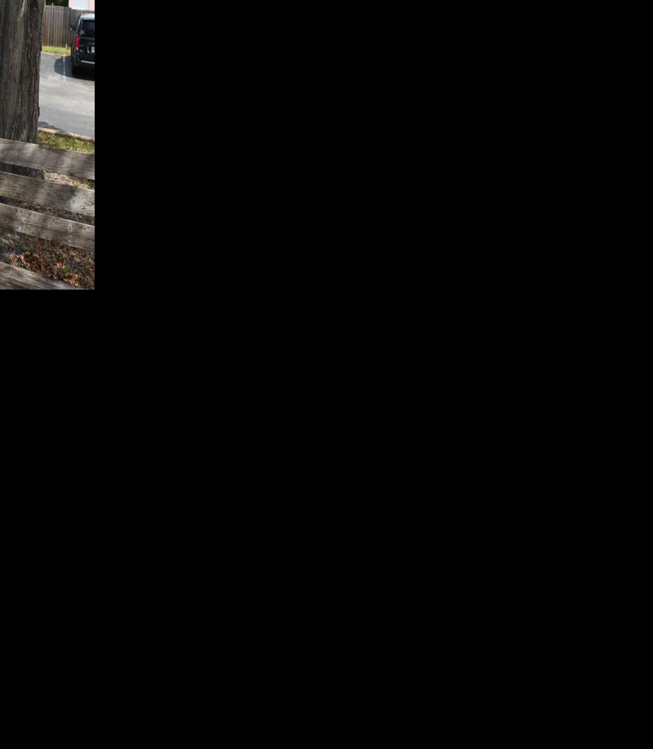 Allison Bean takes lead as Seminole chamber chairwoman | Seminole | tbnweekly.com