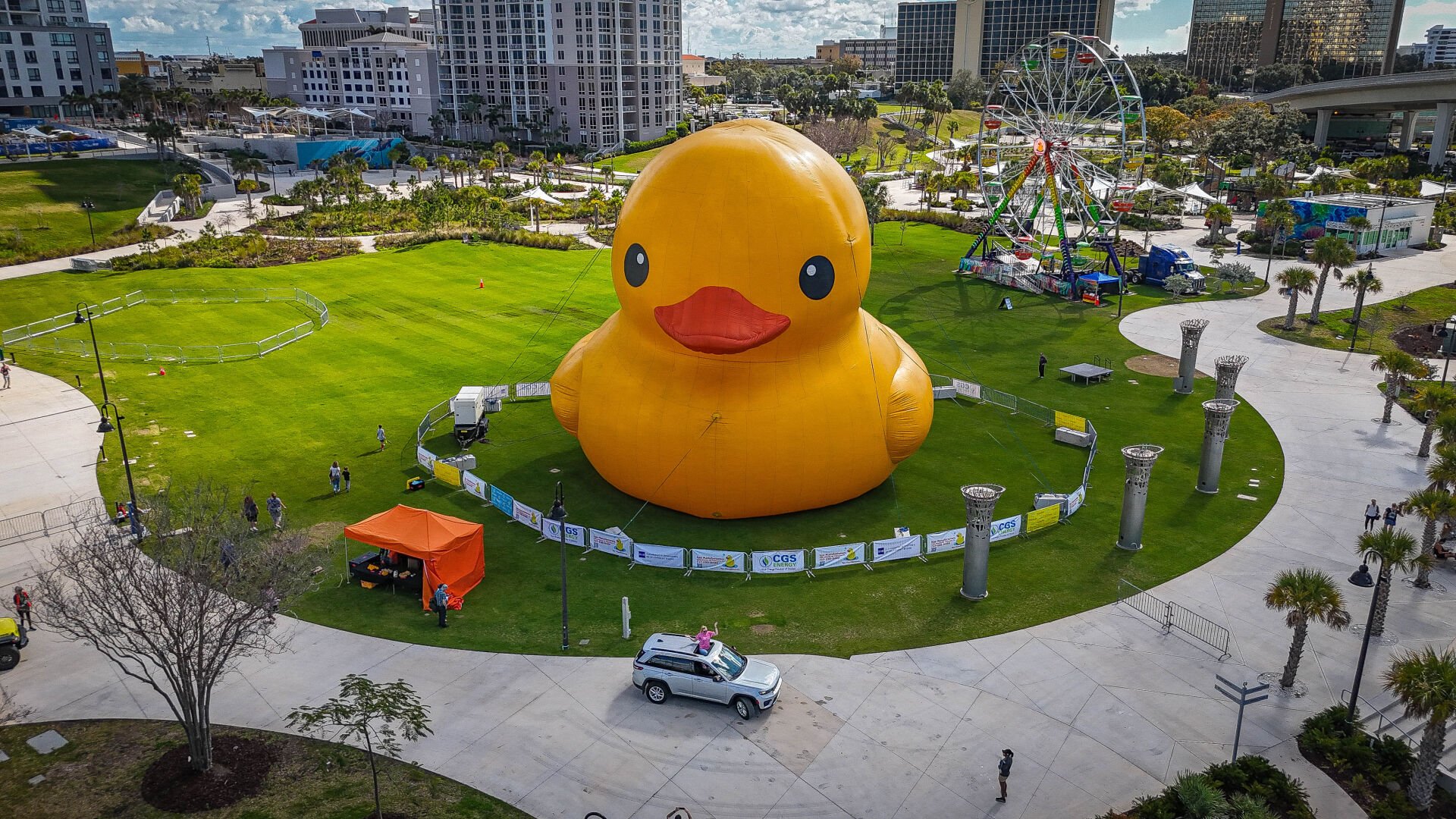 Crowds flock to see ‘Mama Duck’ in Clearwater | Clearwater | tbnweekly.com