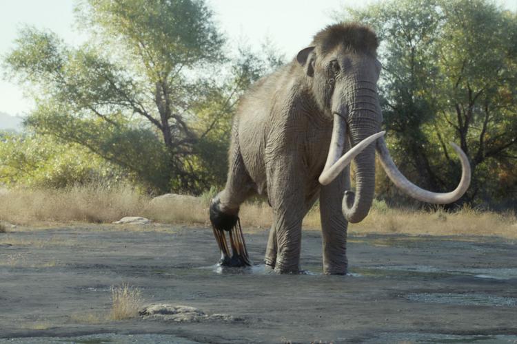 A foot-tall elephant? 'Prehistoric Planet: Ice Age' on Apple TV reveals ...