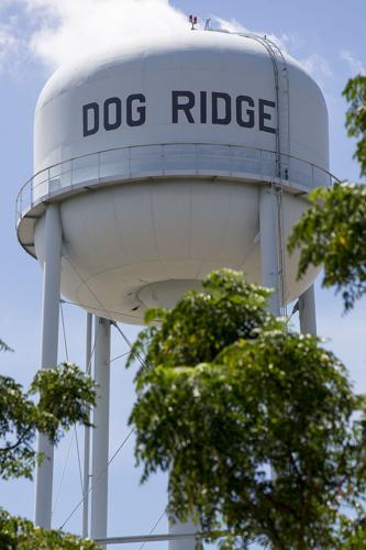 Dog Ridge petition presented to Belton City Council | News | tdtnews.com