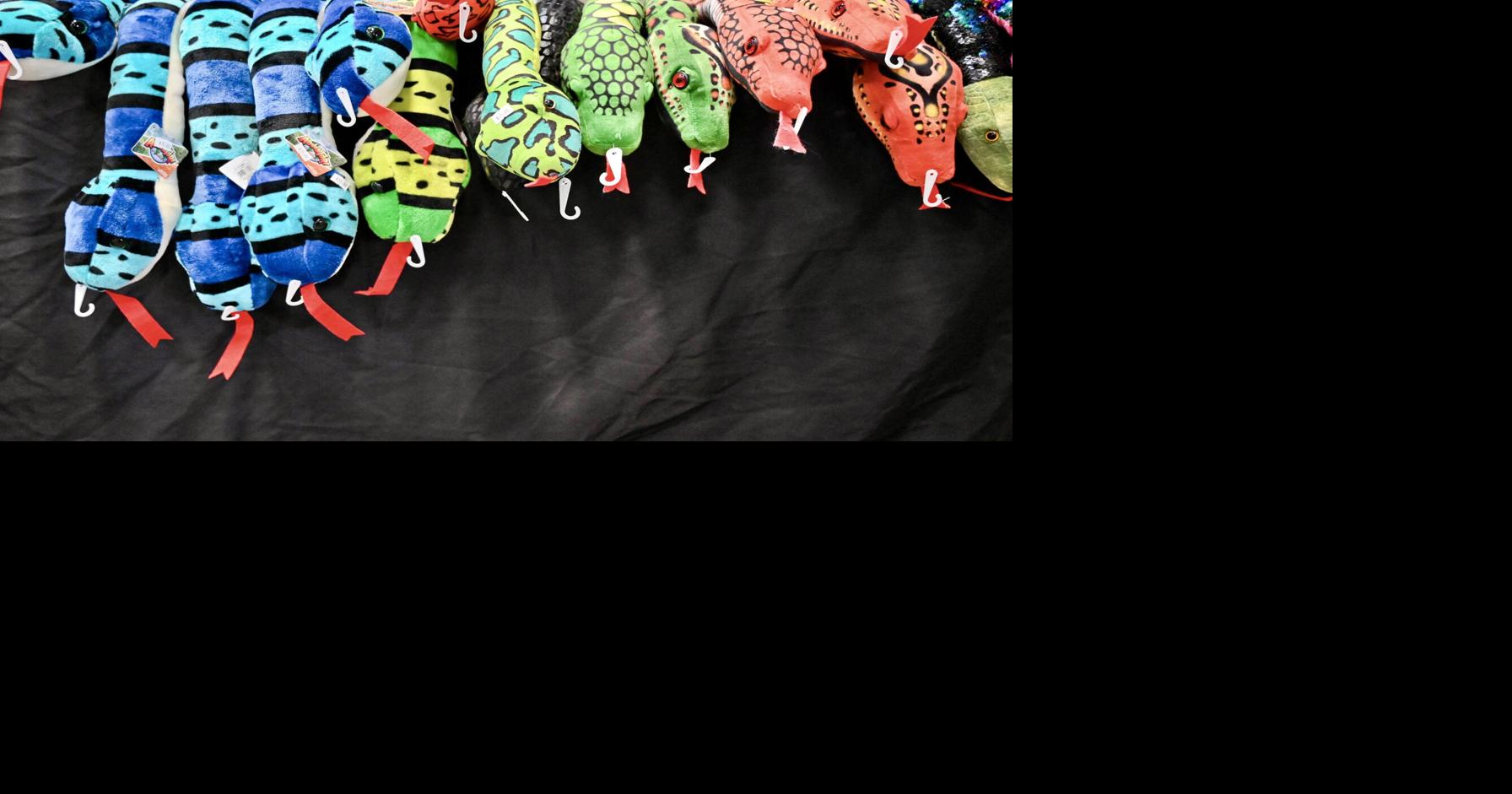 Why did it have to be snakes? | News | tdtnews.com