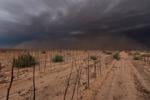 Texas drought | News | tdtnews.com