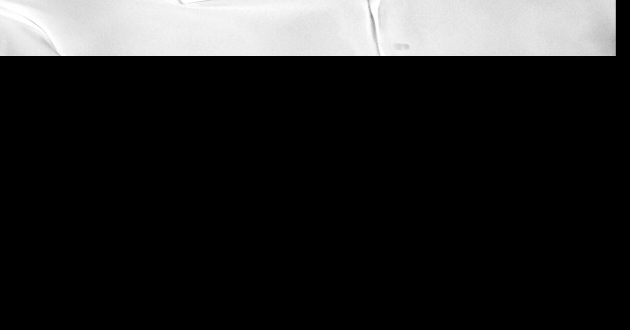 Matthew Maury Dupree, age 68 of Temple, died March 12, 2025 ...