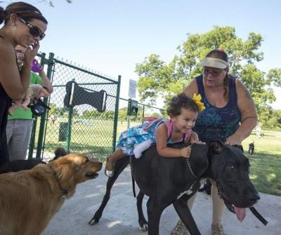 Central Texas Bark Park reopens after soil conditions improve | News ...