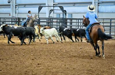 Ranch sorting: Competition draws 75 riders to Expo Center | News | tdtnews.com
