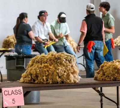 Pulling wool: Student judges show knowledge of quality at Bell County ...