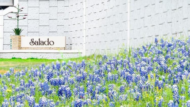 New mayor, alderman elected in Salado | News | tdtnews.com