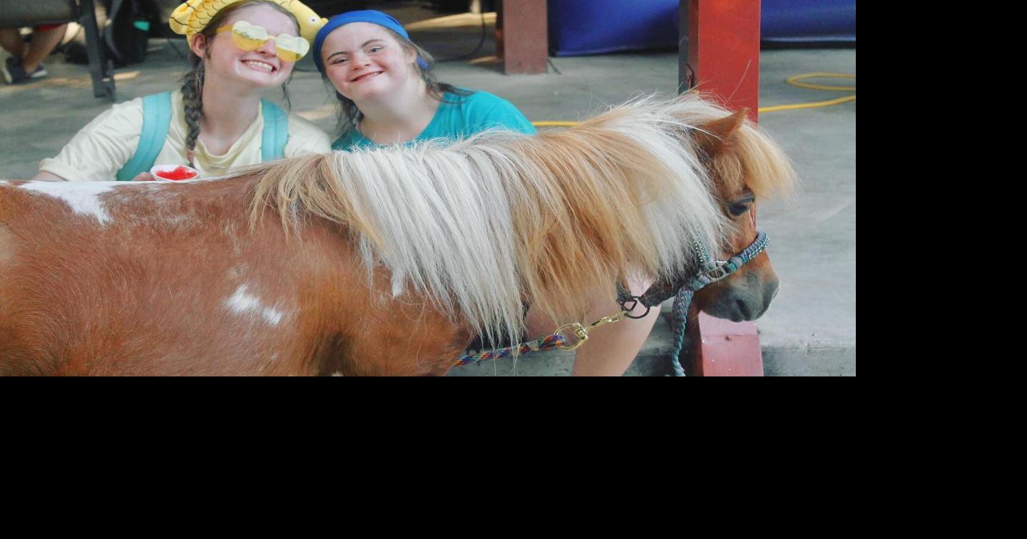 Rosebud special-needs camp named top-rated nonprofit | Business ...