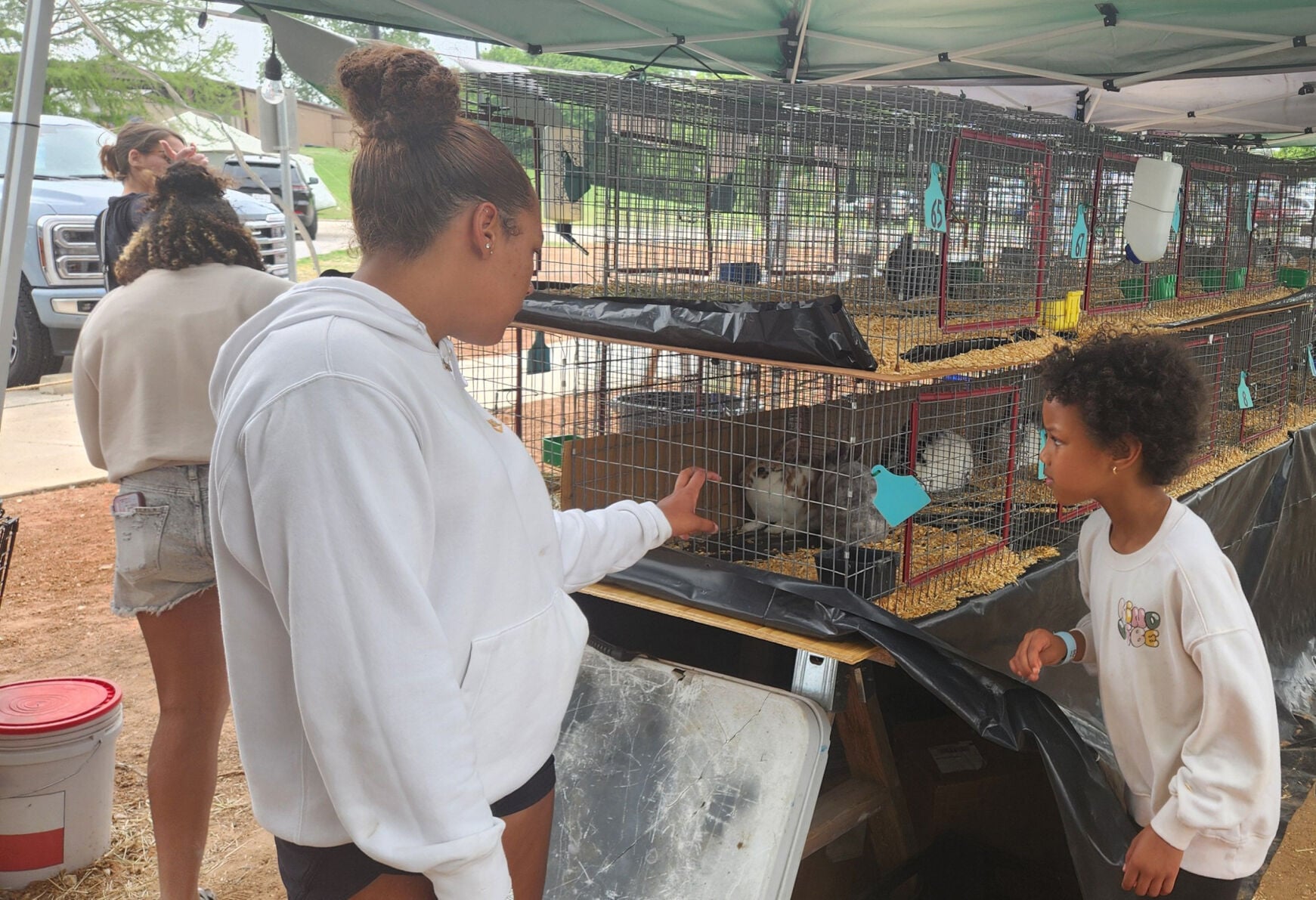 Rabbit Fest begins Thursday in Copperas Cove | News | tdtnews.com