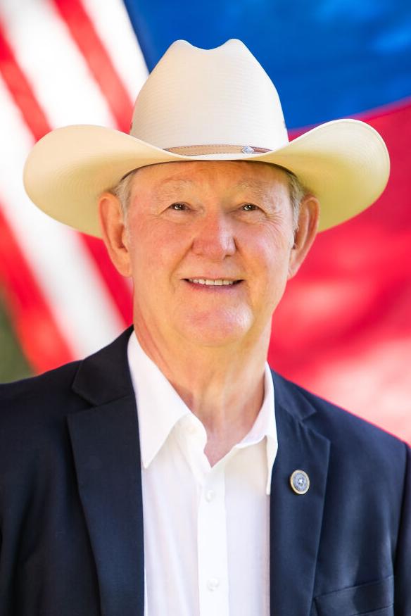 Patterson leads Justice of the Peace Precinct 1 race; Sapp, Tice lead ...