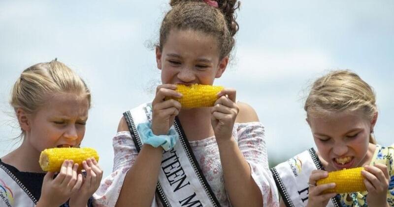 Corn-fed fun: Holland to hold 50th annual corn fest June 14-15 | Life ...