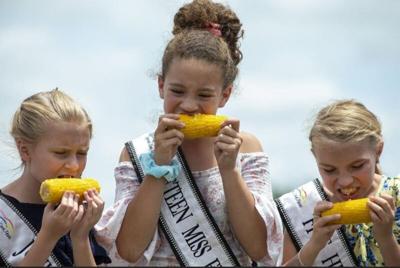 Corn-fed fun: Holland to hold 50th annual corn fest June 14-15 | Life ...