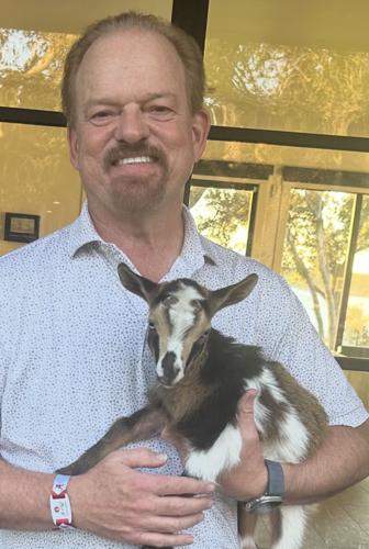 Belton resident suspects mountain lion killed pet goats, game warden ...
