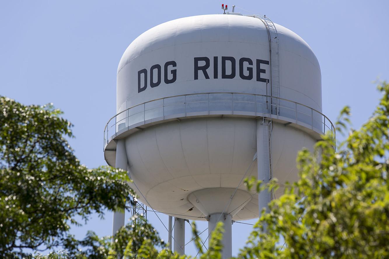 Two Dog Ridge Water Supply Corporation board members suddenly resign ...