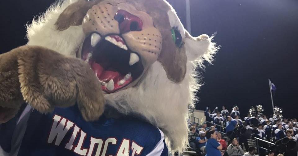 Wildcat makeover: Campaign under way to update THS mascots Willie and ...