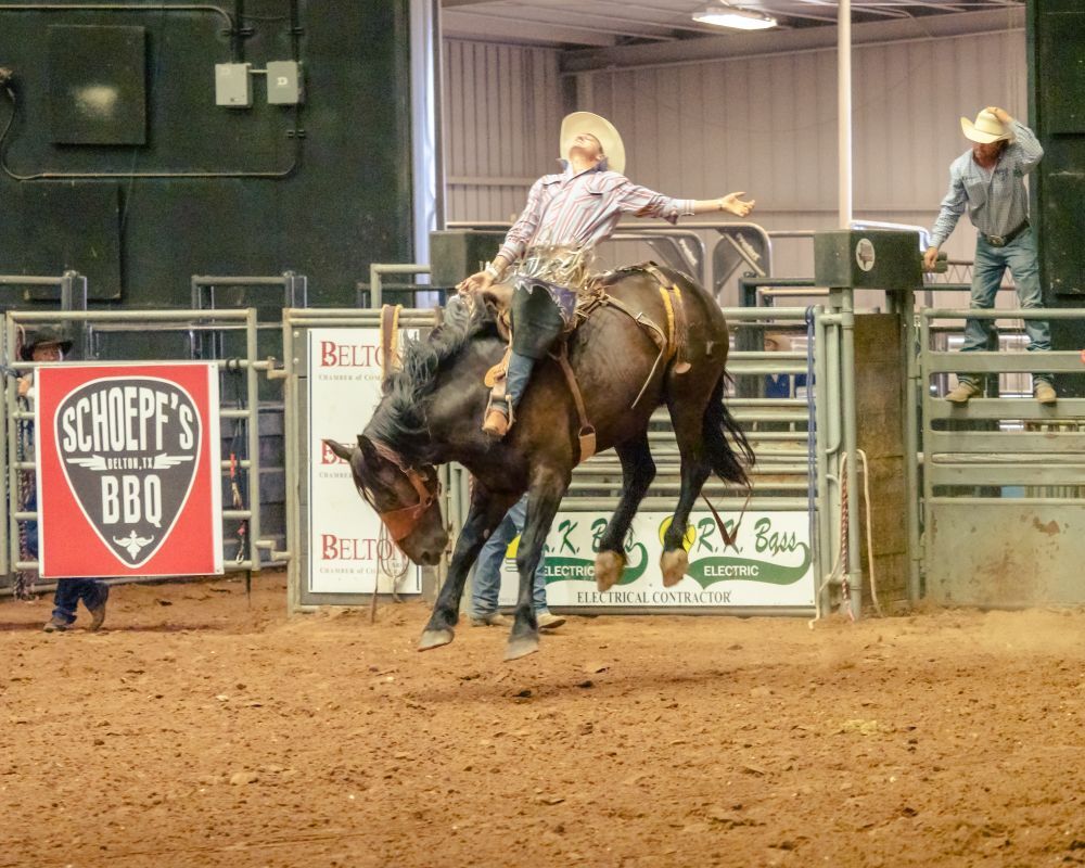 Bell County PRCA rodeo to round out week of livestock shows at Cadence ...