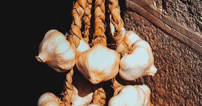 Halloween’s stinky rose: Garlic was touted as a cure-all, from ...