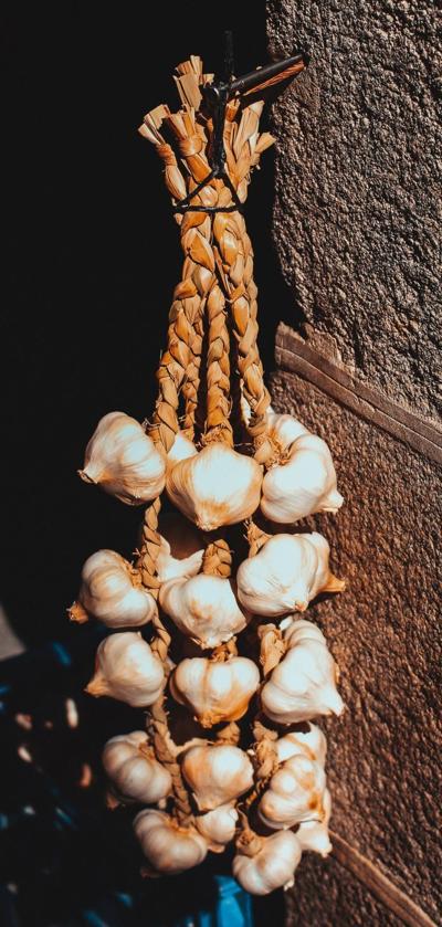 Halloween’s stinky rose: Garlic was touted as a cure-all, from ...