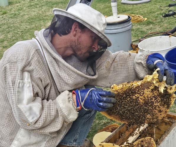 Save, don't spray: Beekeeper rescues hives found in businesses, homes ...