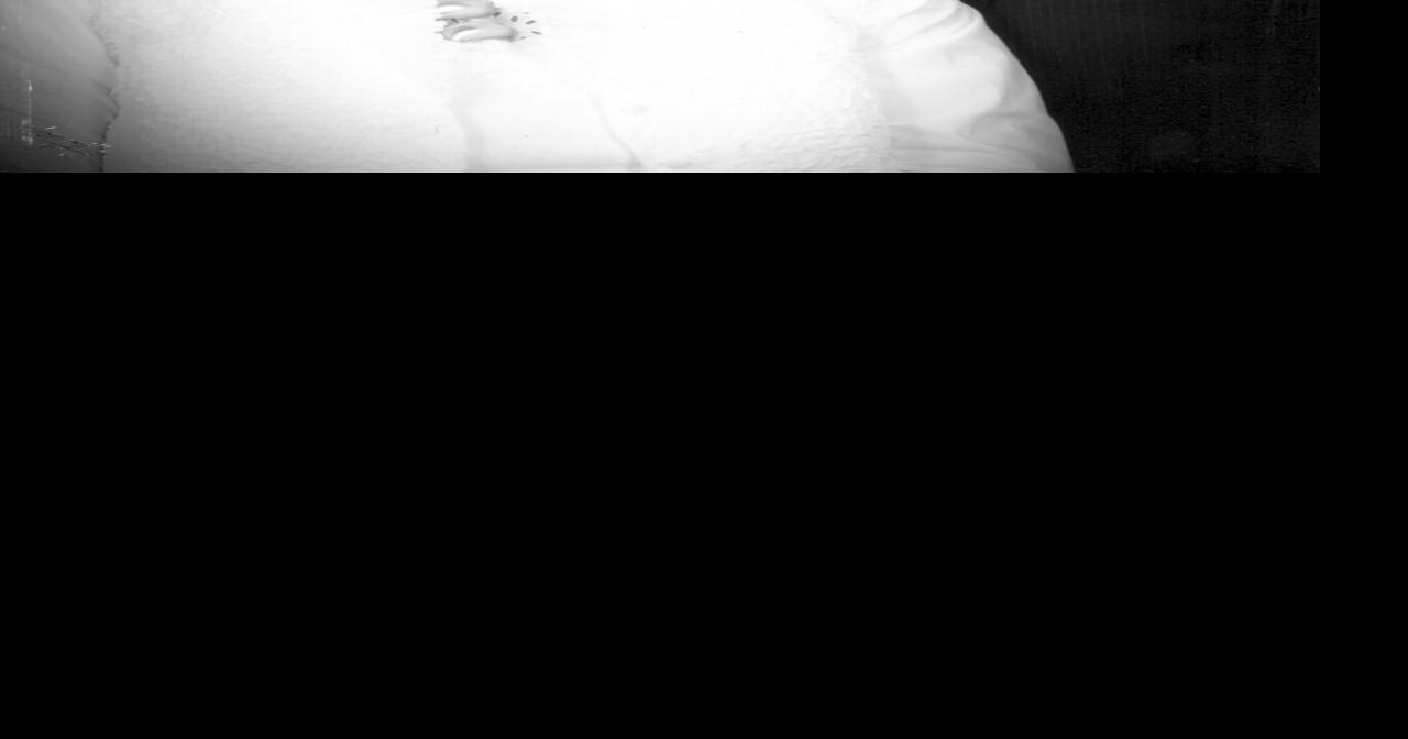 Happy 60th Mr. and Mrs. Rex Baugh | Anniversaries | tdtnews.com