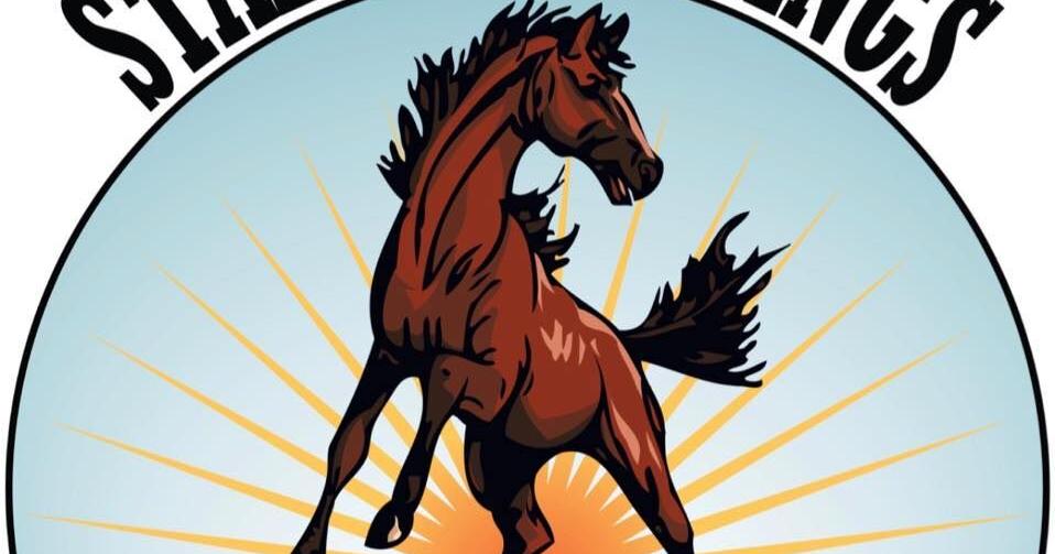 Stallion Springs CSD board calls special election to decide police tax ...