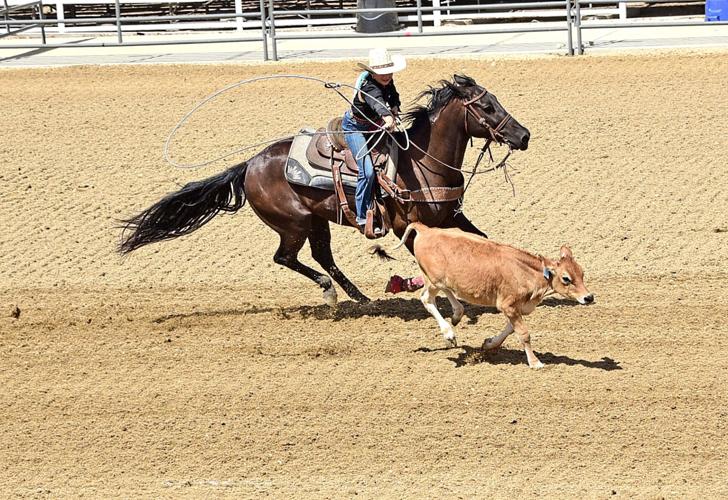 PHOTO GALLERY: Youth show their skills at Junior Rodeo | Sports ...
