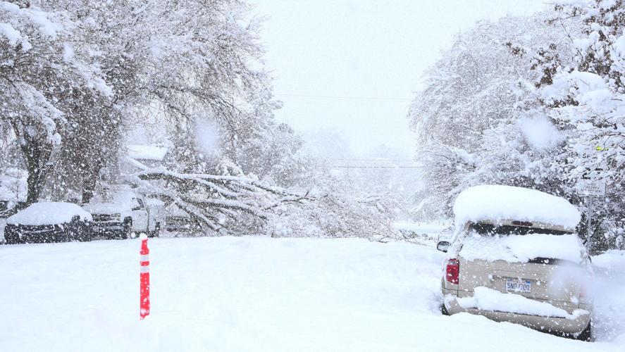 PHOTO GALLERY: When snow blankets greater Tehachapi | News ...