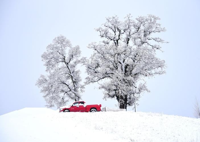 PHOTO GALLERY: Winter wonderland | News | tehachapinews.com