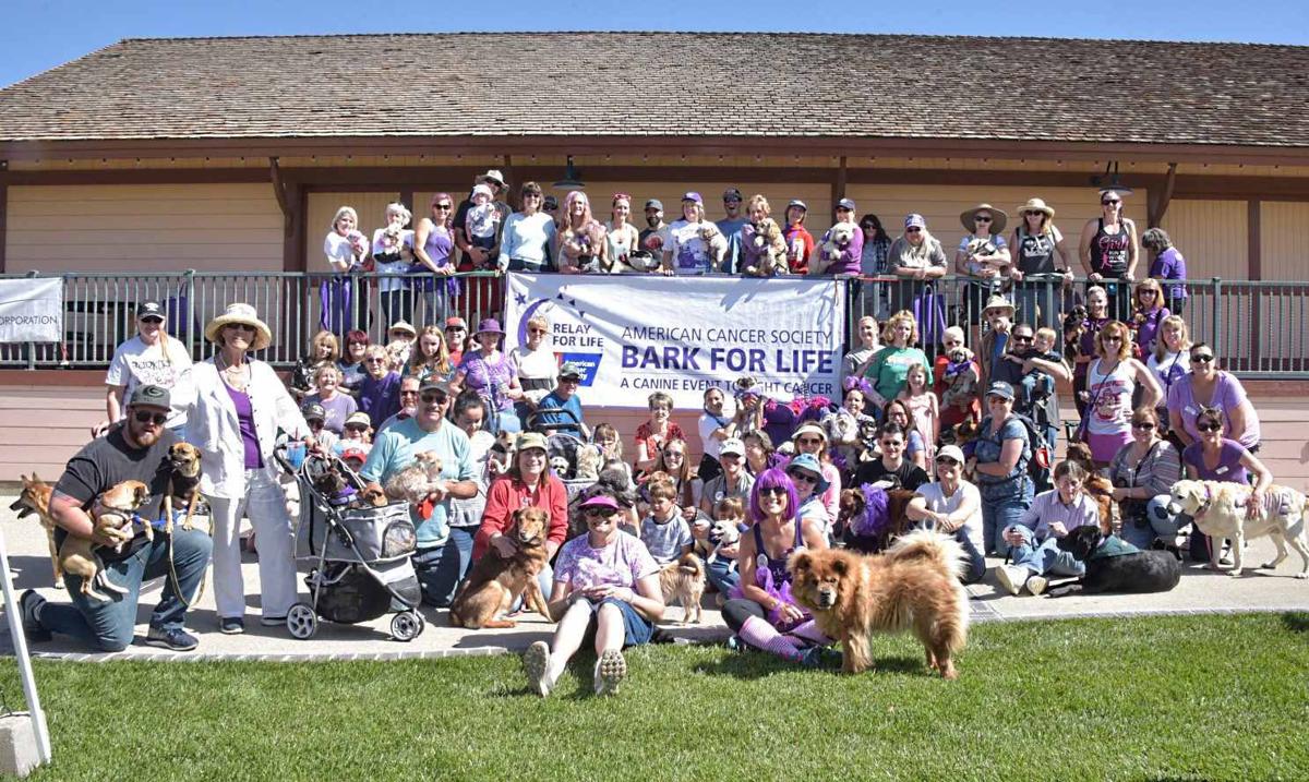 PHOTO GALLERY: Canines spread Relay for Life message at Bark for Life ...