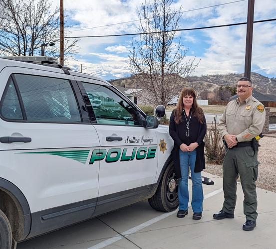 Stallion Springs Public Safety Committee challenged to find solutions ...