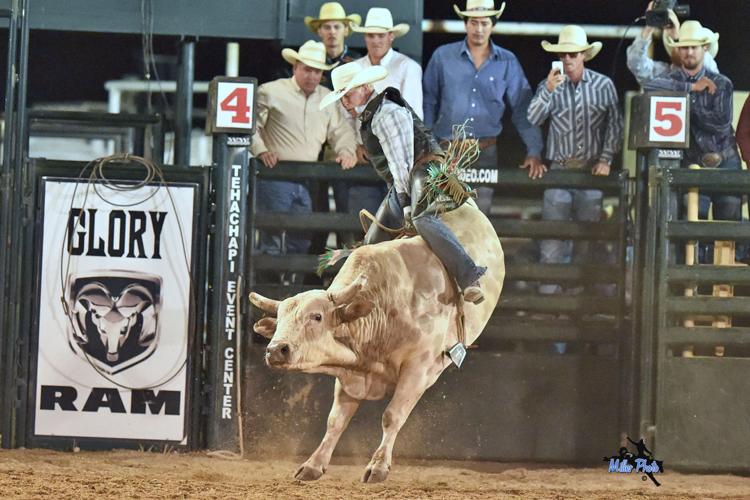 53rd Annual Tehachapi Mountain Festival: Tehachapi Mountain Rodeo ...