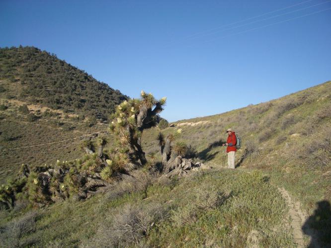 Visitor Guide: Getting to Tehachapi | Visitor-guide | tehachapinews.com