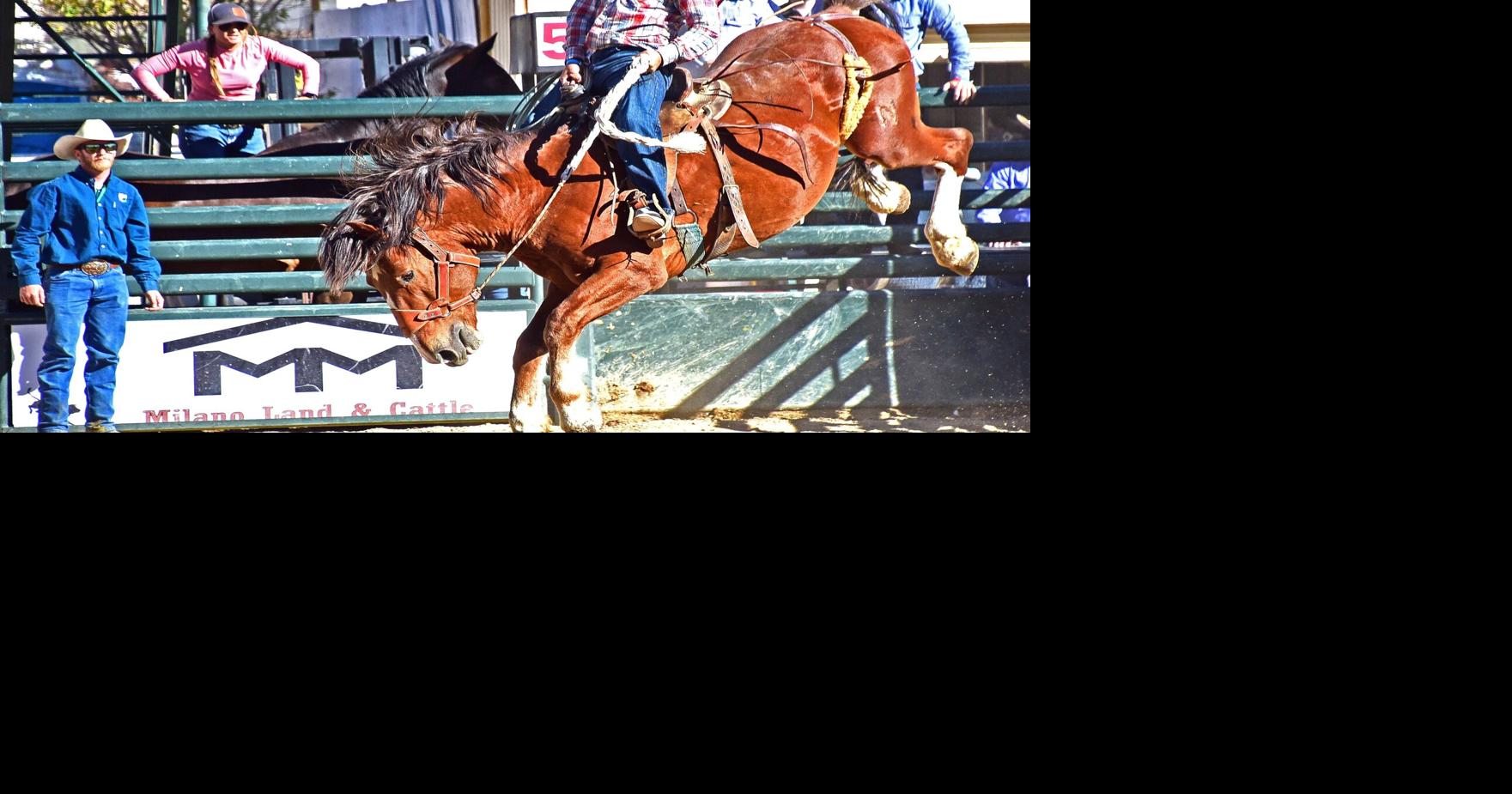 PHOTO GALLERY: Rodeo grounds busy on Apple Festival weekend | Sports ...