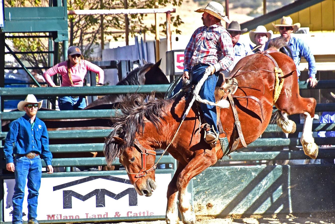 Sports | tehachapinews.com