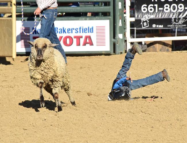 PHOTO GALLERY: Bring out the tough for the Benz Bad Bulls Rodeo ...