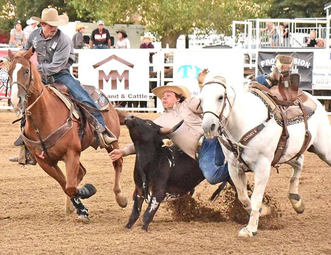 Tehachapi Mountain Festival is here | Lifestyle | tehachapinews.com