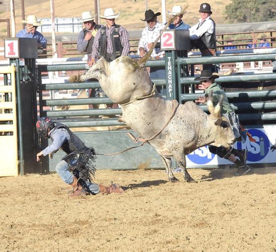 Your guide to Independence Day festivities: Fourth of July promises fun ...