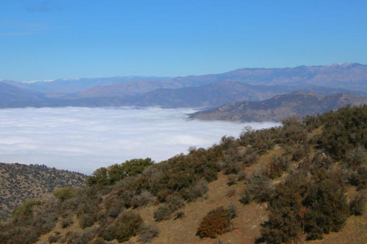 Pen in Hand: Tule fog creeps in | Lifestyle | tehachapinews.com